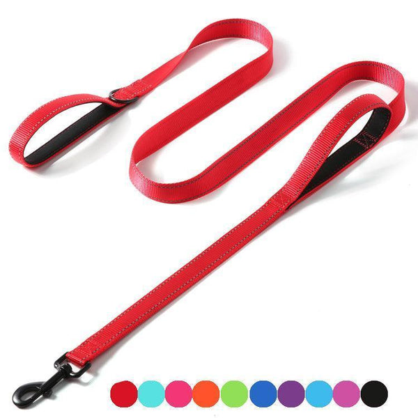 Reflective Padded Double Handle Traffic Dog Leash – iTalkPet