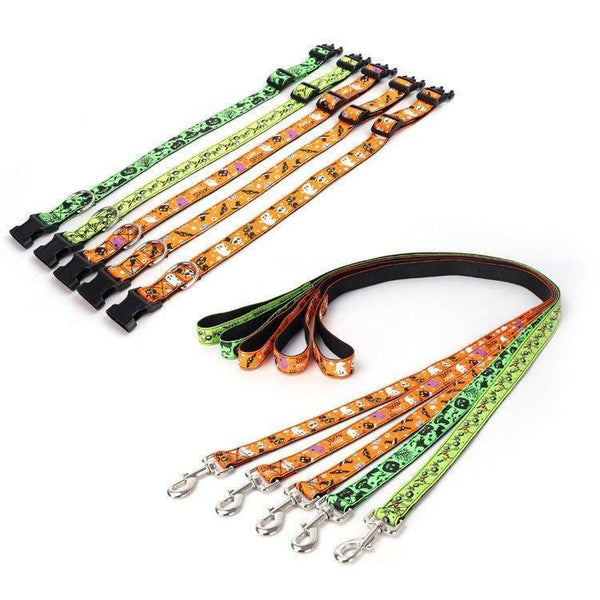 4 Feet Dog Halloween Leash Lead – iTalkPet