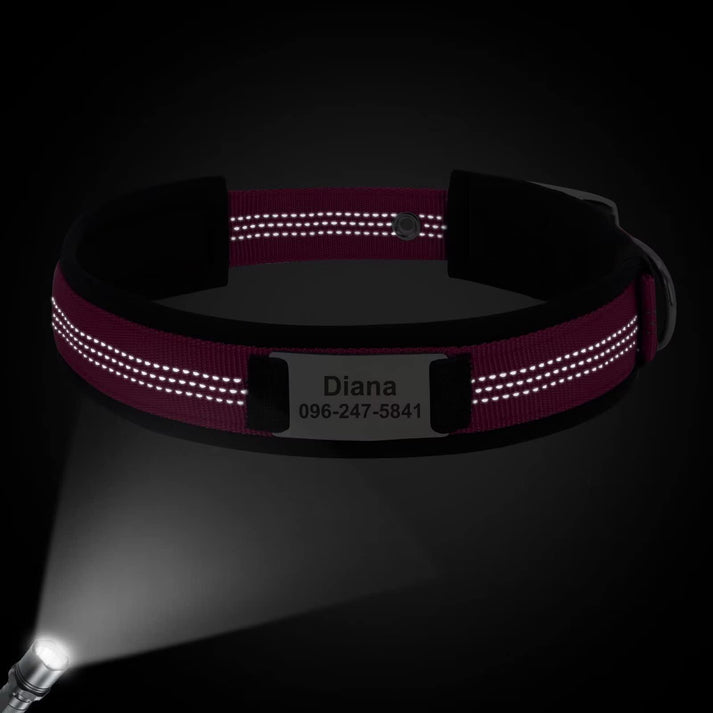 Reflective Engraved Nylon Dog Collar Personalized with Slide on ID Tag ...
