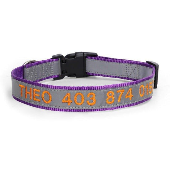 Reflective Personalized Pet Collar - Custom Dog ID Collar – iTalkPet