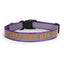 Reflective Personalized Pet Collar - Custom Dog ID Collar – iTalkPet