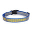 Reflective Personalized Pet Collar - Custom Dog ID Collar – iTalkPet