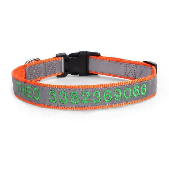 Reflective Personalized Pet Collar - Custom Dog ID Collar – iTalkPet