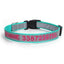 Reflective Personalized Pet Collar - Custom Dog ID Collar – iTalkPet