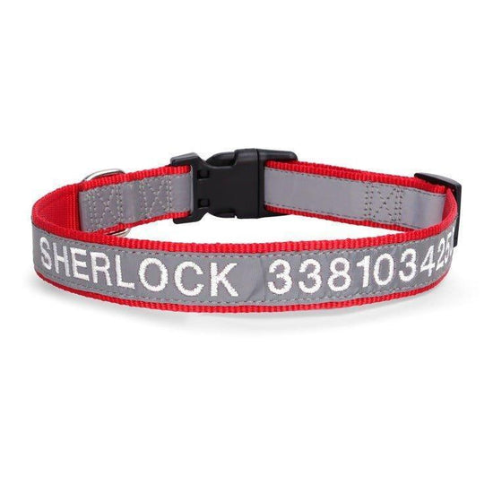 Reflective Personalized Pet Collar - Custom Dog ID Collar – iTalkPet