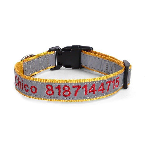 Reflective Personalized Pet Collar - Custom Dog ID Collar – iTalkPet